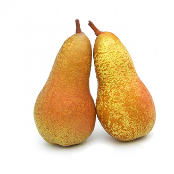 Abate Pear